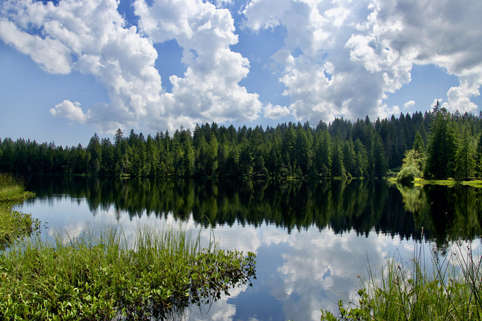 Balades - Terre&Nature