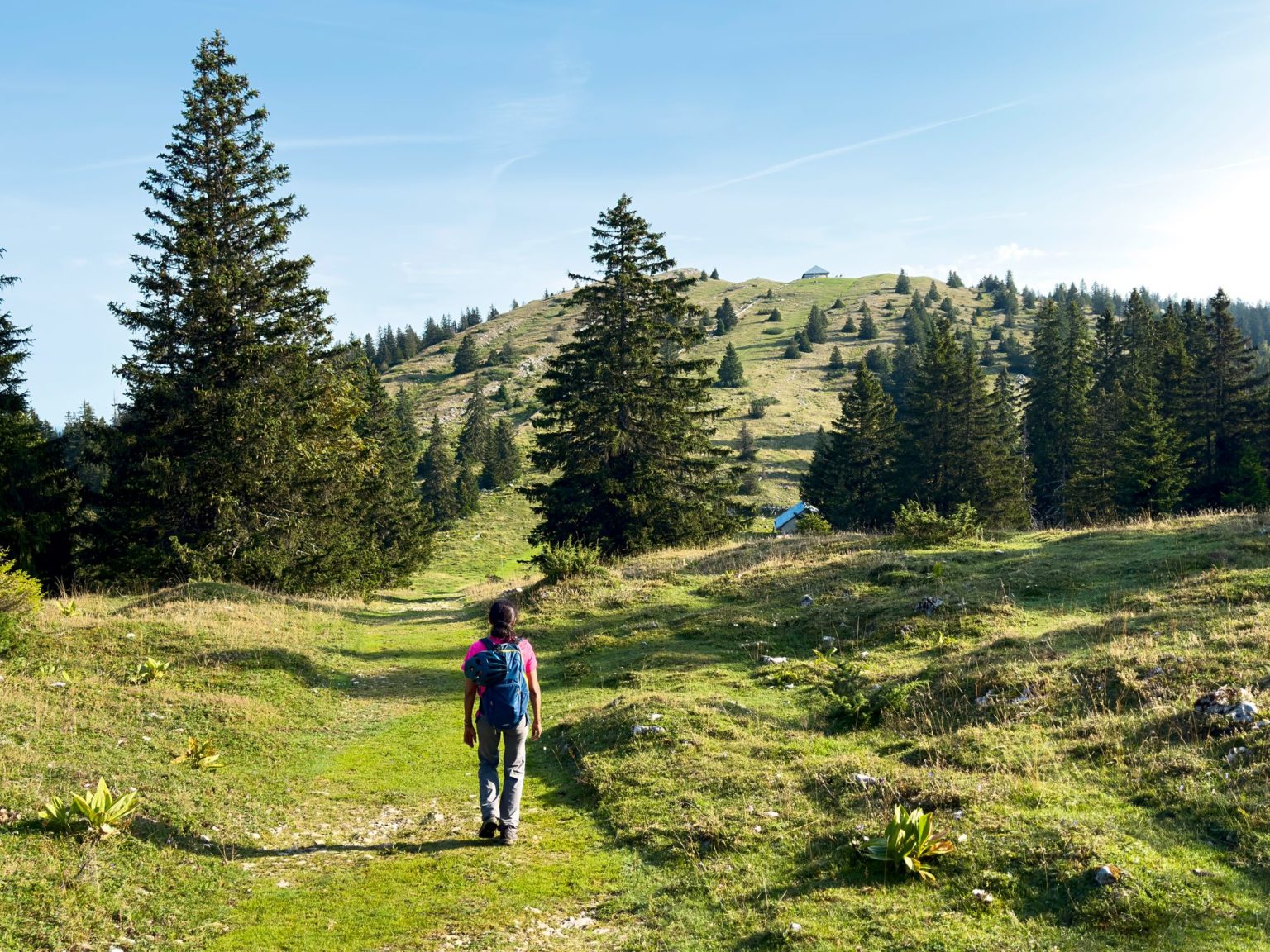 Balade dans les Alpes vaudoises, de Solalex à Anzeindaz - Terre&Nature