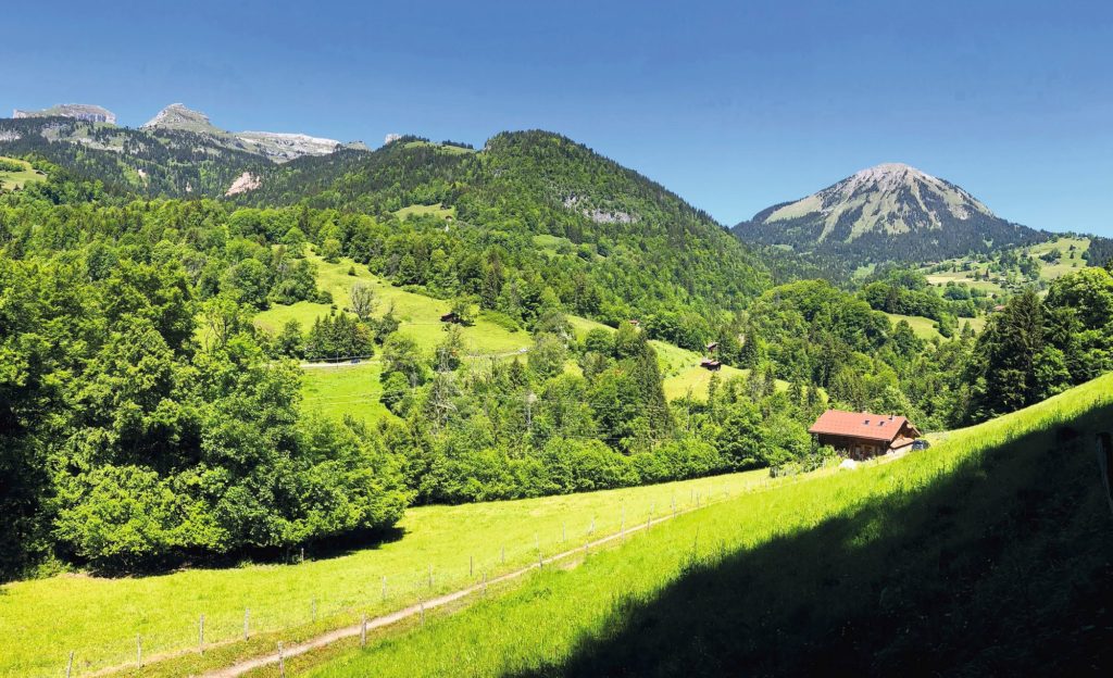 Un trésor naturel au cœur des Mines de Sel de Bex - Terre&Nature