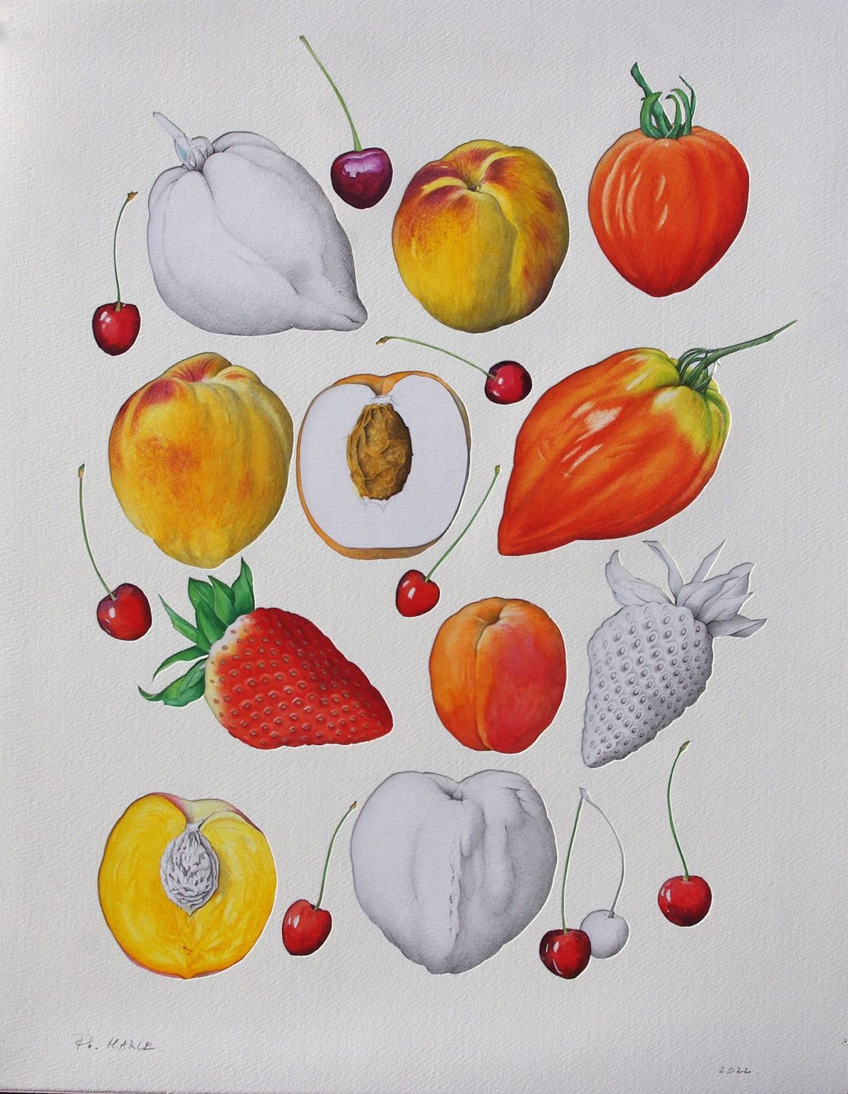 L’art et la science dialoguent en dessins | Terre&Nature