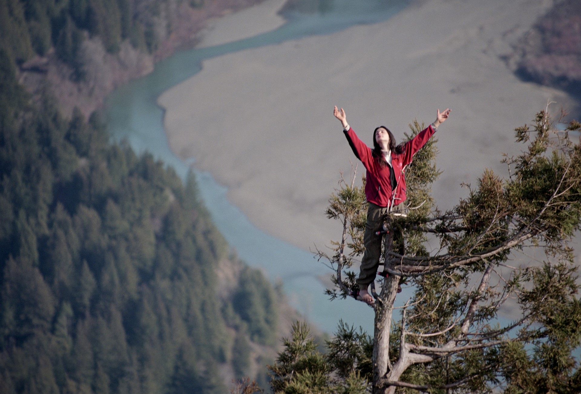 Le positivisme à l’honneur au Festival du film vert